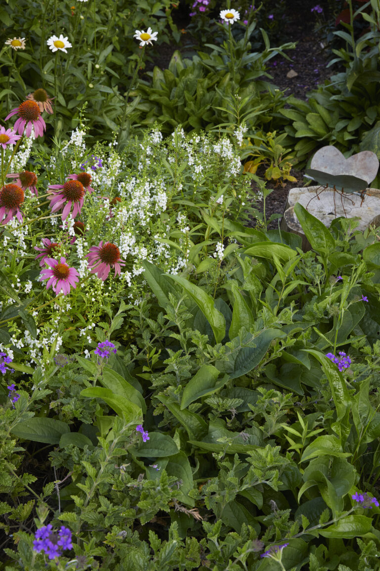Monarch Waystation - Birmingham Home & Garden