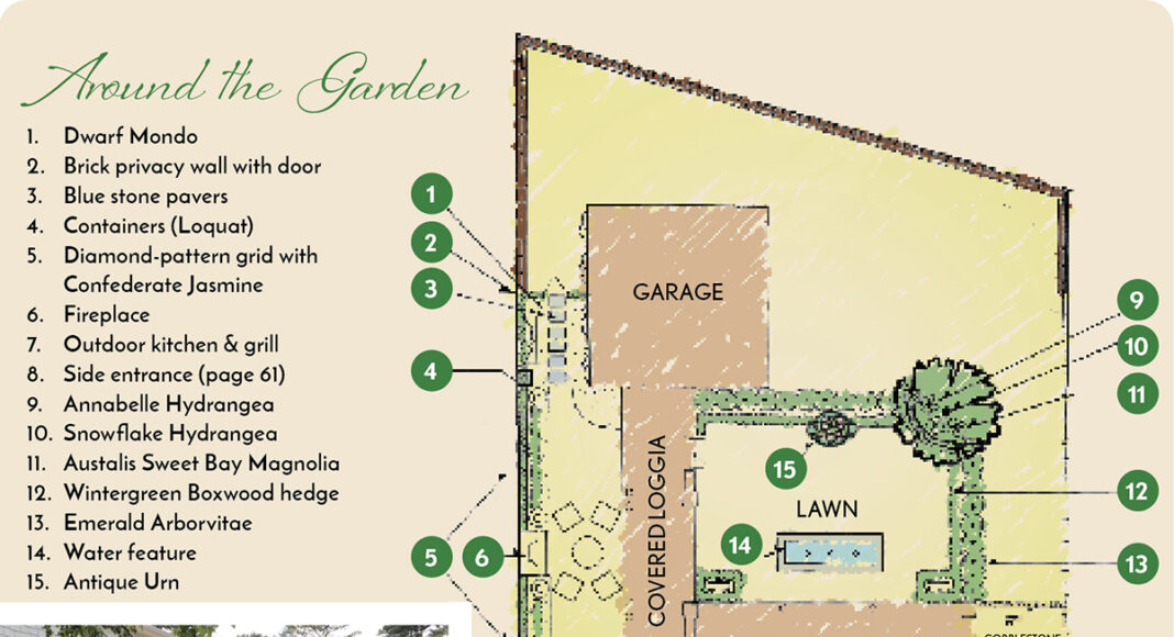 Backyard Sophisticate