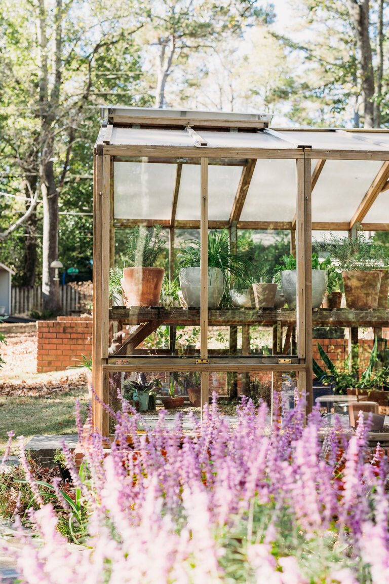 Winter Gardening: Tips for Keeping Your Garden Thriving - Birmingham ...