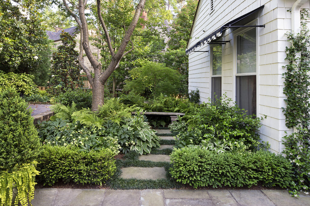 Todd Dorlon Looks Back at a Favorite Landscape Project