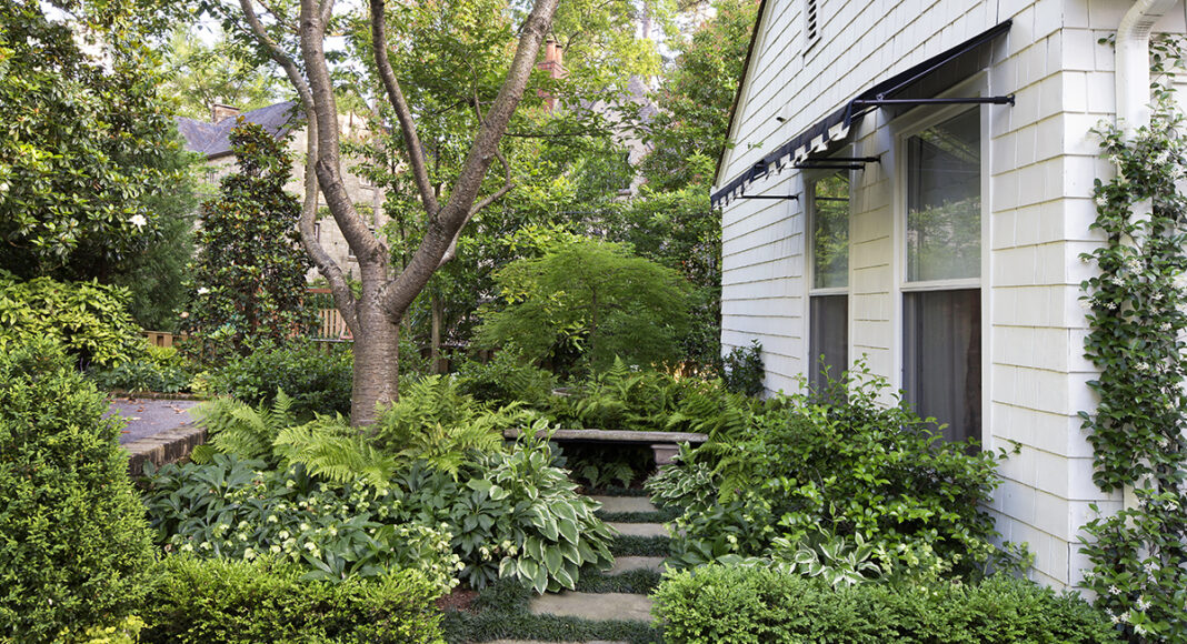 Todd Dorlon Looks Back at a Favorite Landscape Project