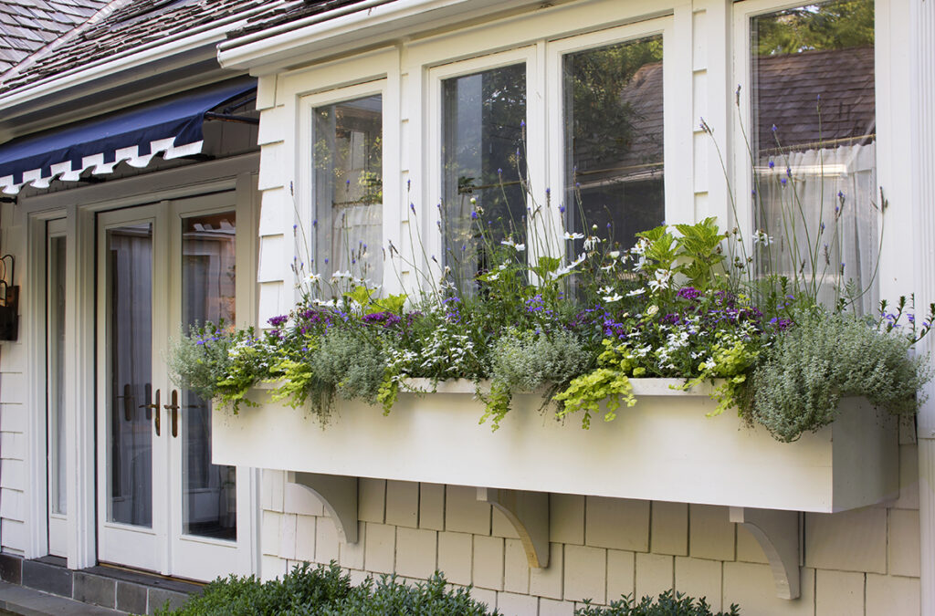 Todd Dorlon Looks Back at a Favorite Landscape Project