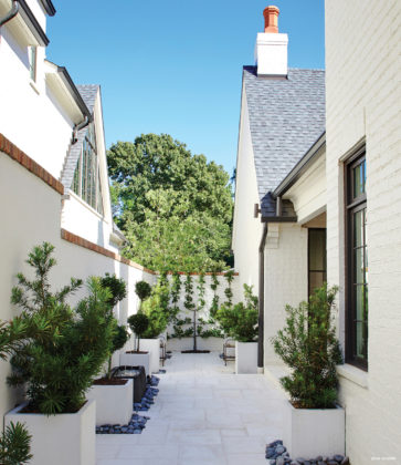 The Defining Style of Peter Falkner